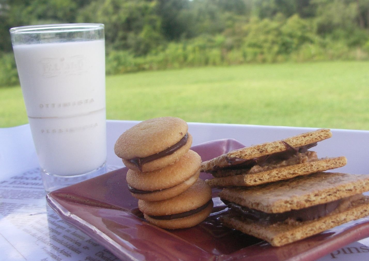 Ice Box Nutella and Peanut Butter Graham Cracker Sandwiches - Foodie ...