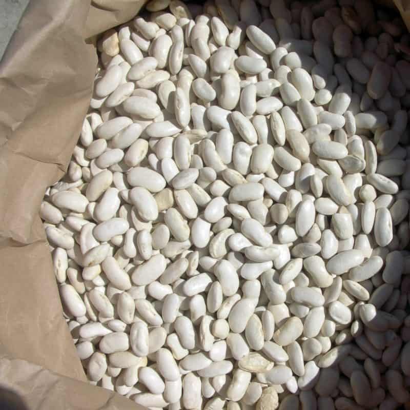 A Tutorial on Using Dried Beans - Foodie With Family