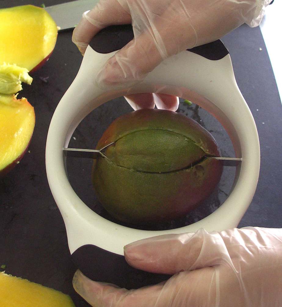 FMC Mango Salsa - Foodie With Family