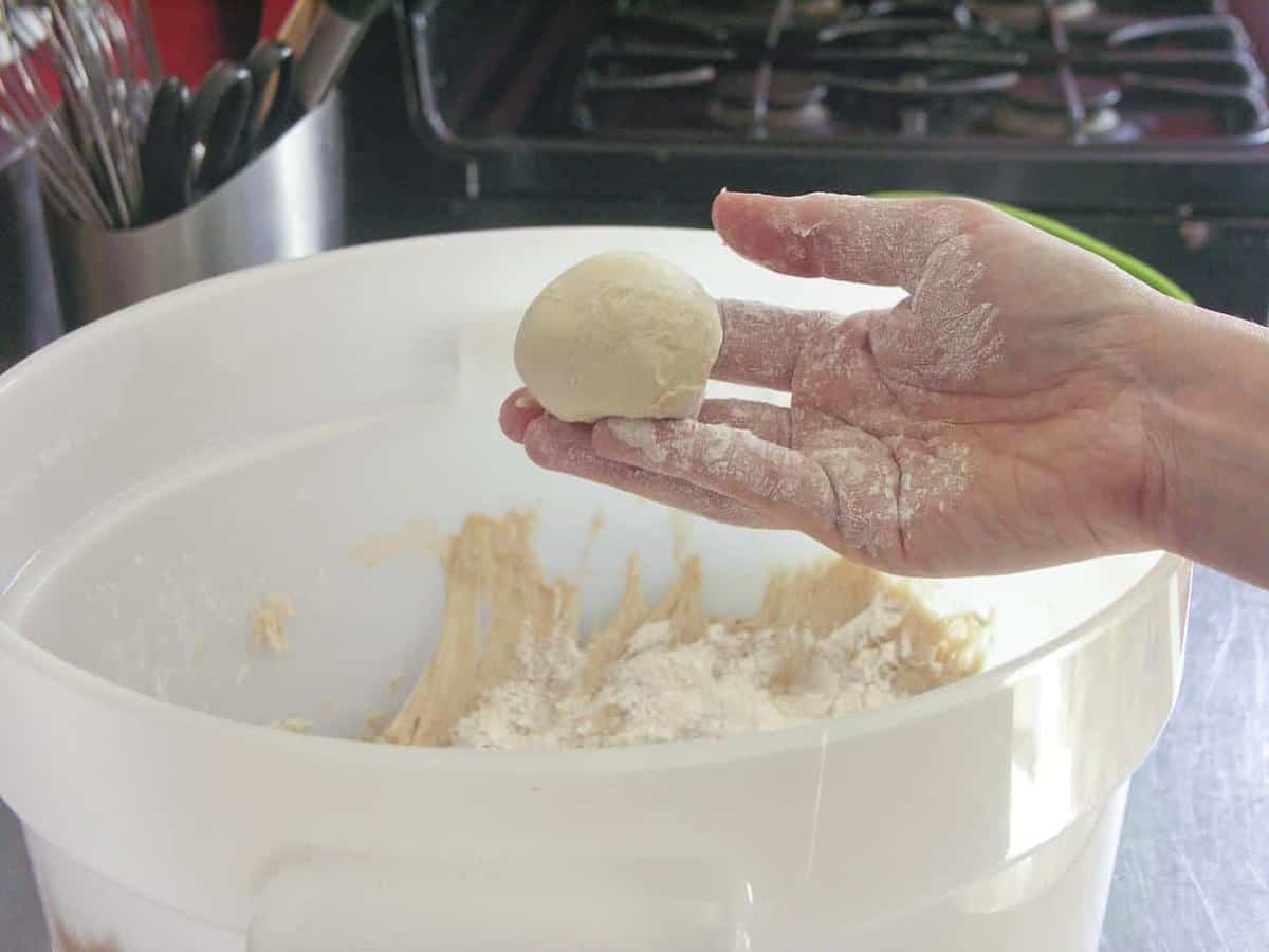 Crusty Garlic Bubble Bread