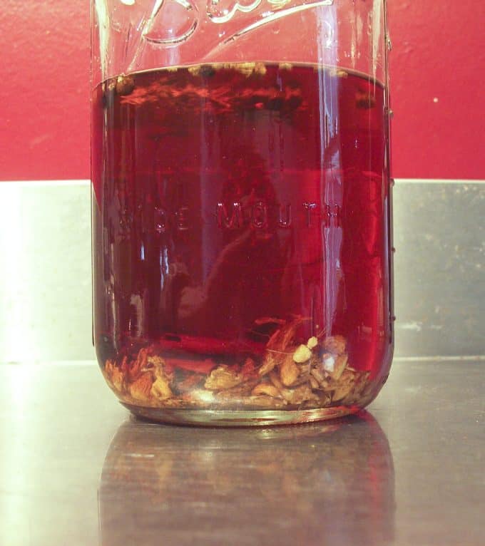 Yuletide Spiced Brandy Liqueur - Foodie With Family