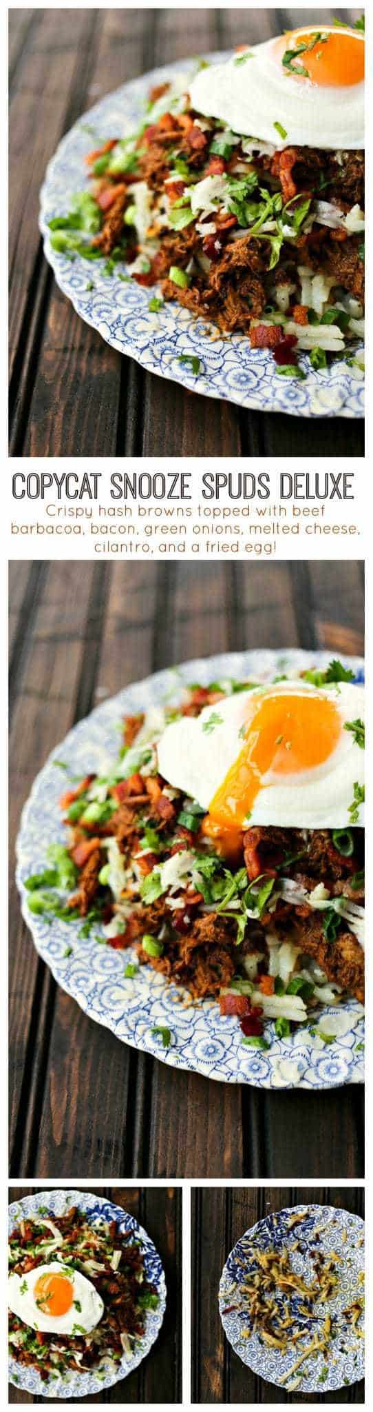 Copycat Snooze Spuds Deluxe: Hash browns with cheese, bacon, beef ...