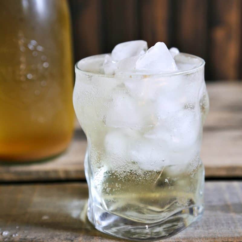 Ginger Switchel Drink {non-alcoholic refresher} - Foodie with Family