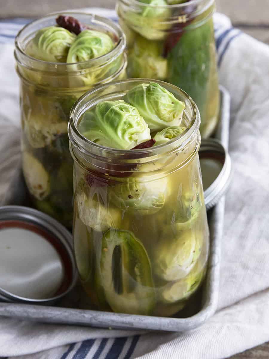Pickled Brussels Sprouts - Foodie With Family