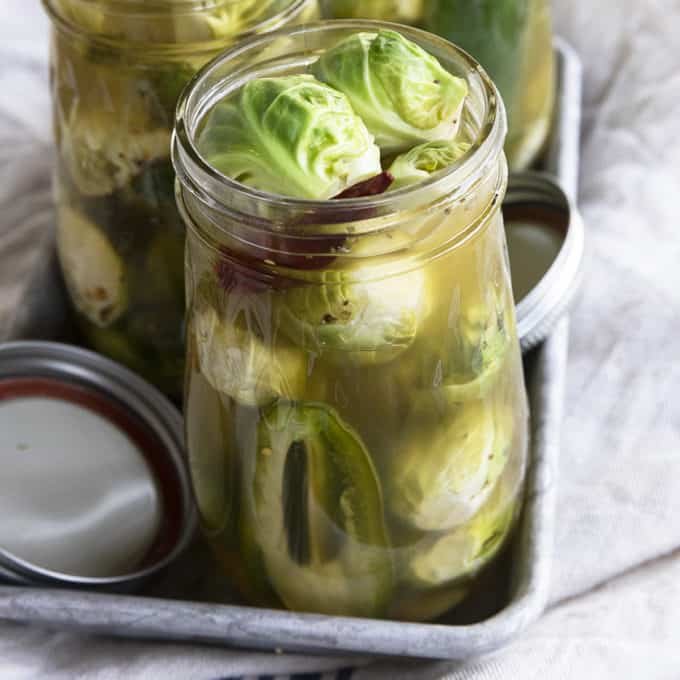 Pickled Brussels Sprouts - Foodie With Family