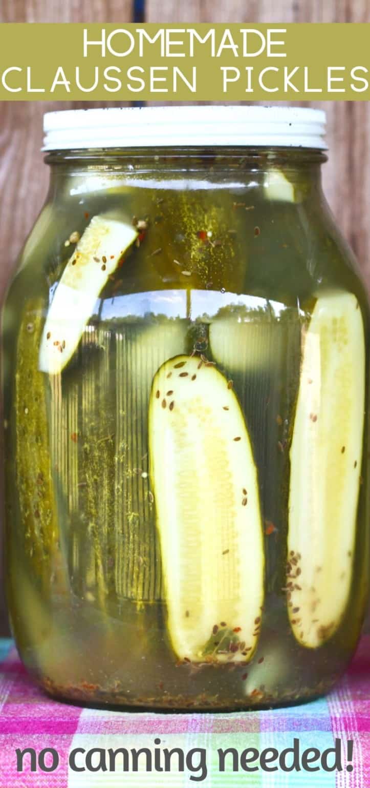 Homemade Claussen Pickles Recipe a.k.a. Half Sour Pickle Recipe