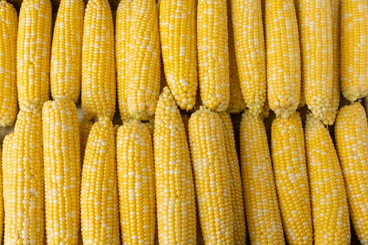 Corn Stock | Make Ahead Mondays