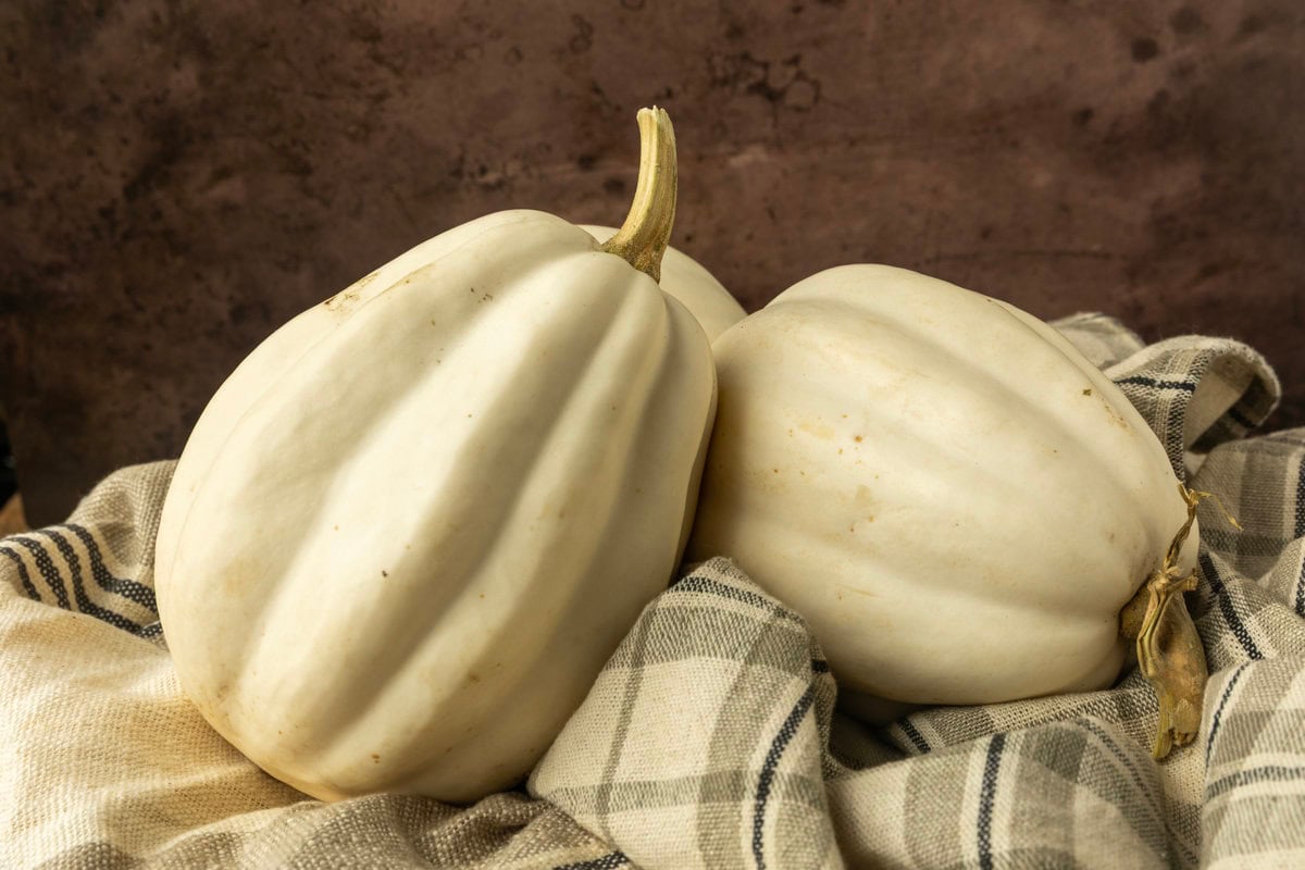 Mashed Potato Squash - Foodie With Family